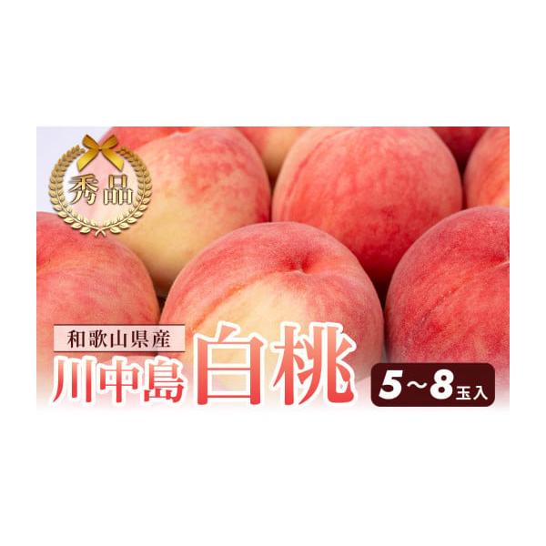 容量川中島白桃〔5〜8玉入り・秀品〕／和歌山県産消費期限生鮮品の為、なるべくお早めにお召し上がりください。発送期日2026年7月下旬から8月中旬（予定）※天候や生育状況により発送時期が予告なく変更になる場合がございます。配送冷蔵 時間指定 ...
