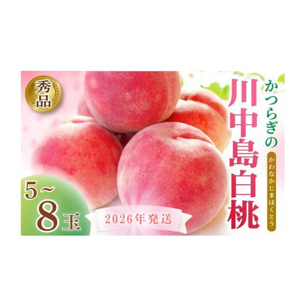 容量川中島白桃〔5〜8玉入り・秀品〕／和歌山県産消費期限生鮮品の為、なるべくお早めにお召し上がりください。発送期日2026年7月下旬〜8月中旬（予定）配送冷蔵 時間指定 別送申込期日〜2026年7月27日事業者株式会社松源申込条件何度も申し込み可