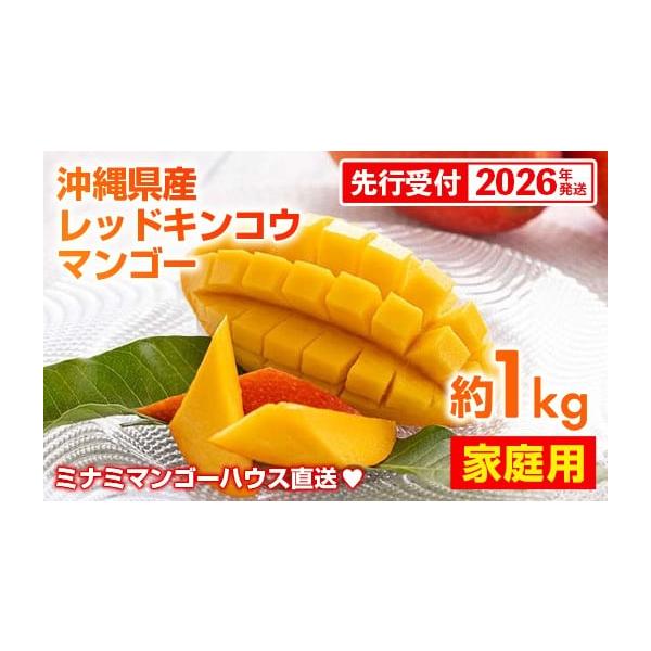 容量家庭用・赤金煌(レッドキンコウ）マンゴー約1kg※色・キズ有り・不揃いの為、見た目は落ちますが、味や甘さは変わりありません。ご家庭用としてご賞味ください。※玉数の指定はできません※数に限りがございます。数量に達し次第終売となります。アレ...