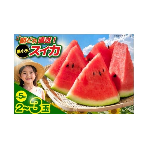 容量「ひとりじめBonBon」 5kg(1.7kg以上×2〜3玉)※個体差がありますので、サイズに応じて玉数が変動します。予めご了承ください。 消費期限賞味期限：常温で10日発送期日2026年6月下旬〜8月下旬において順次出荷※申込期日：2...