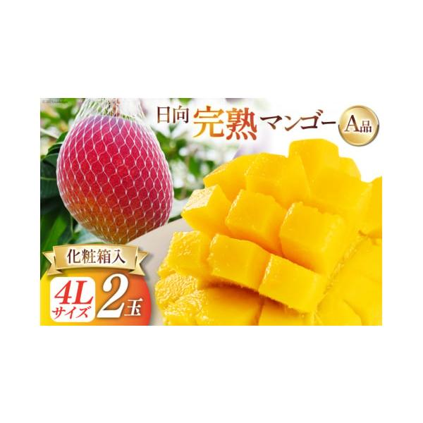 容量日向産完熟マンゴーA品4Ｌ(500g以上)×2玉入り化粧箱にてお届けします消費期限発送日より10日程度（要冷蔵）発送期日2026年4月後半〜8月前半において順次発送※申込期日：2026年7月15日（決済確認）※収穫状況によって発送時期が...