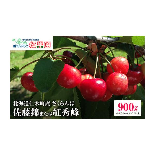 容量さくらんぼ【佐藤錦】または【紅秀峰】バラ詰め900g　※Lサイズ以上産地：仁木町※ふるさと納税返礼品地場産品基準(平成31年総務省告示第179号第5条)のうち該当する類型について仁木町内において生産されたものであることから第１号に該当。...