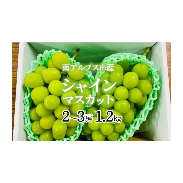 容量シャインマスカット2房〜3房 1.2kg以上【提供事業者】フルーツパーク斎庵消費期限発送より7日発送期日2026年8月下旬〜10月上旬（季節の物なので期間内に配送します）配送冷蔵 別送申込期日2026年8月31日まで事業者株式会社　斎庵...