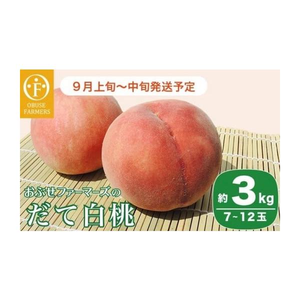 容量だて白桃 約3kg（7〜12玉）消費期限なるべく早くお召し上がりください発送期日2026年9月上旬〜中旬予定※天候や収穫状況により、お届けや規格が変更になる場合がございます。配送冷蔵 別送申込期日2026年9月10日まで※期限内であって...