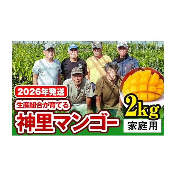 容量マンゴー　2kg（4玉〜6玉）※玉数の指定はできません。※多少のキズがあるため、ご家庭用としてお召し上がりください。消費期限青果物のため、早めにお召し上がり下さい。発送期日2026年6月中旬〜7月下旬※お申し込み順の発送となりますので予...