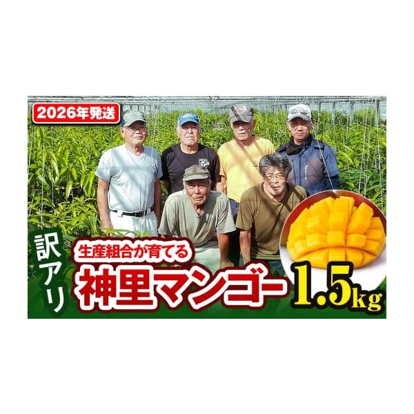 容量マンゴー　1.5kg（3玉〜6玉）※玉数の指定はできません。※多少のキズがあるため、ご家庭用としてお召し上がりください。消費期限青果物のため、早めにお召し上がり下さい。発送期日2026年6月中旬〜7月下旬※お申し込み順の発送となりますの...