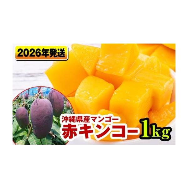 容量赤キンコーマンゴー1kg（2玉〜4玉） ※玉数・大きさは指定できません。消費期限到着後は常温にて食べ頃になるまで追熟（甘い香りが出て柔らかくなってきます）して頂き、その後冷蔵庫にて冷やしてお召し上がりください。発送期日2026年7月上旬...