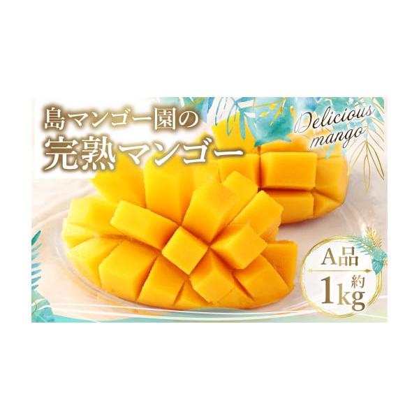 容量マンゴー約1kg(2玉〜3玉) 消費期限発送日から1週間以内にお召し上がりください。発送期日2026年7月上旬発送開始いたします。※収穫状況やご注文時期によっては、発送時期が前後する場合のございます。予めご了承ください。配送冷蔵 のし ...