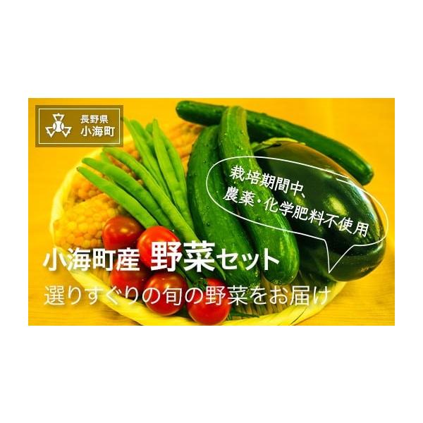 発送期日発送時期:7月~11月配送冷蔵 別送申込期日10月末まで申込条件何度も申し込み可