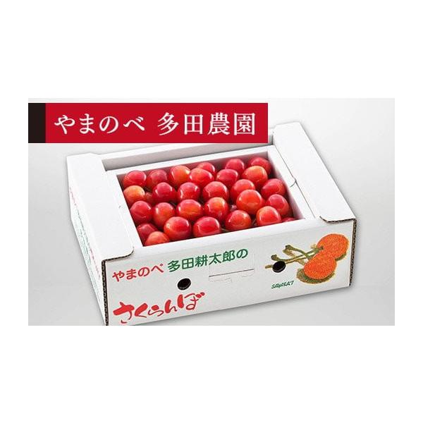 容量500g L バラ詰め発送期日2026年6月上旬頃〜6月下旬頃までに順次発送※発送時期は、例年の発送時期を記載しております。天候や収穫状況により変更になる場合があります。配送冷蔵 時間指定 別送申込期日2026年5月30日まで事業者株式...