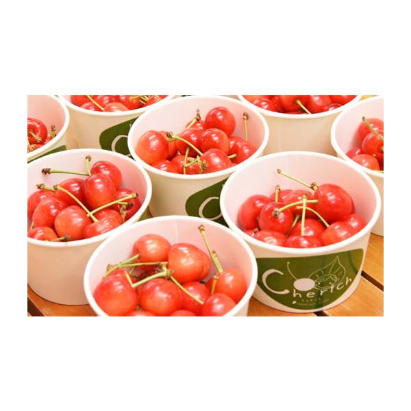 容量秀：480g(Lサイズ,約120g×4個入) 消費期限2〜3日程度発送期日2026年6月中旬〜6月下旬頃まで配送冷蔵 のし 時間指定 別送申込期日2026年6月10日まで事業者山形eLab申込条件何度も申し込み可