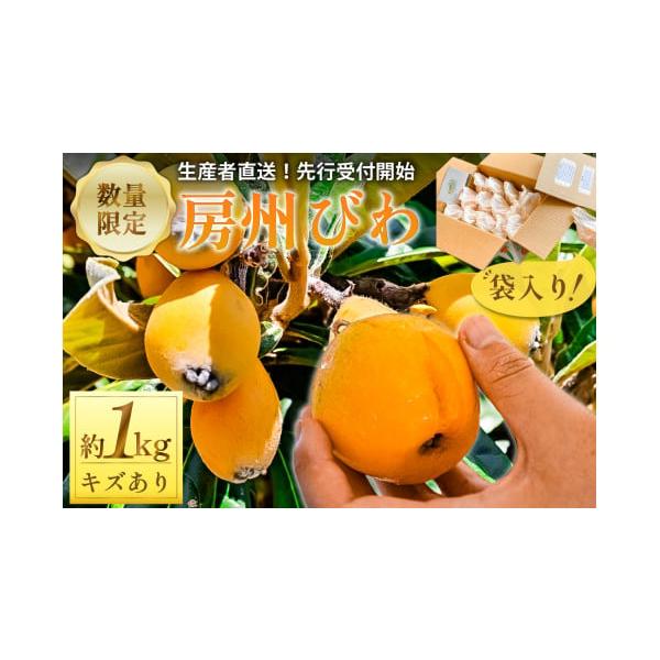 容量房州びわ1キロ袋入り（多少きずあり）消費期限【賞味期限】2〜3日発送期日2026年5月下旬〜6月中旬配送常温 別送申込期日2026年5月31日まで事業者房総スカイファーム申込条件何度も申し込み可