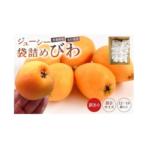 容量生産者直送　ジューシー袋詰めびわ（混合サイズで12〜18粒入り）※本州限定配送・訳アリ品です※Lサイズ以上の大きさ混合、汚れ・葉っぱによるこすれ傷・部分的な皮の変色はありますが、味に変わりなく美味しくお召し上がりいただけます。消費期限1...