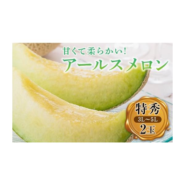 容量アールスメロン特秀3L〜5L 2玉消費期限出荷日含めて5日間発送期日2026年9月中旬〜9月下旬配送常温 時間指定 別送申込期日2026年8月31日まで事業者ふくしま未来農業協同組合申込条件何度も申し込み可、オンライン決済限定