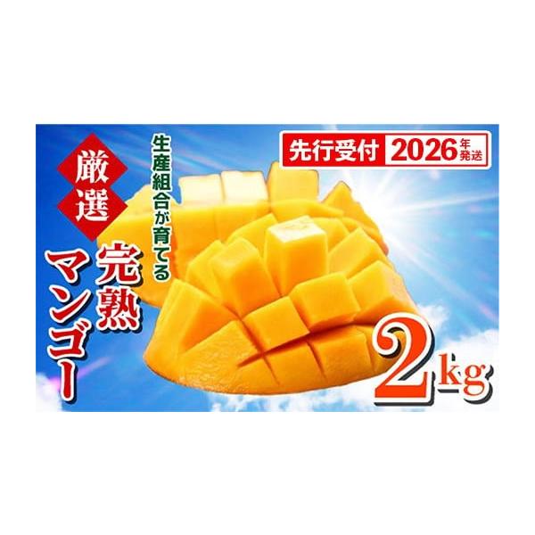 容量マンゴー約2kg（4玉〜6玉）※玉数の指定はできません。消費期限青果物のため、早めにお召し上がり下さい。発送期日2026年6月中旬〜7月末頃を予定配送冷蔵 別送申込期日2026年7月15日頃までを予定事業者熱帯果樹生産組合申込条件何度も...