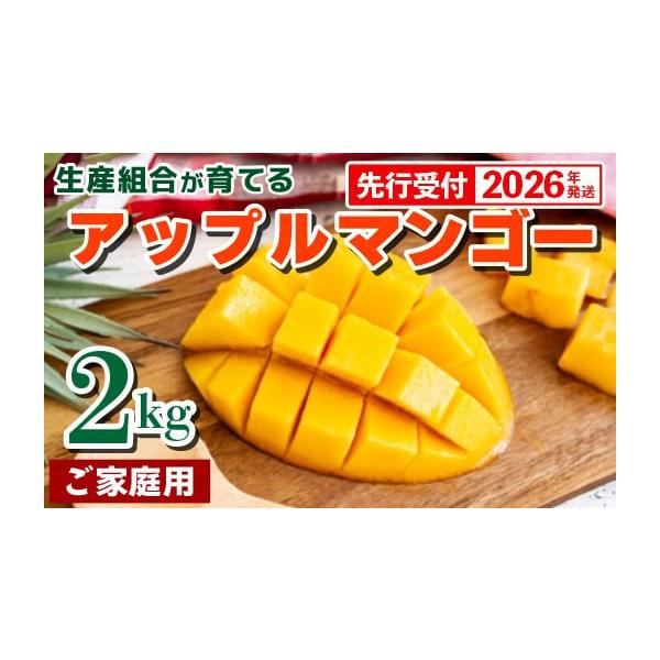 容量マンゴー約2kg（4玉〜6玉）※玉数の指定はできません。※多少のキズがあるため、ご家庭用としてお召し上がりください。消費期限青果物のため、早めにお召し上がり下さい。発送期日2026年6月中旬〜7月末頃を予定配送冷蔵 別送申込期日2026...