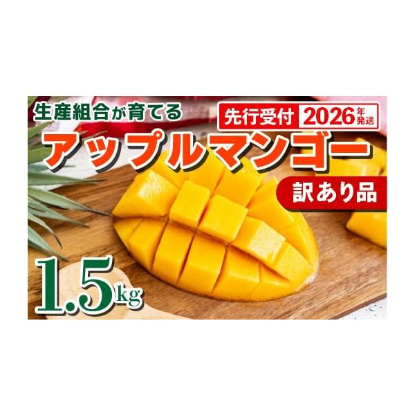 容量＜訳あり＞マンゴー 約1.5kg（3〜6玉）※玉数の指定はできません※白箱でお送り致します。消費期限青果物のため、早めにお召し上がり下さい。発送期日2026年6月中旬〜7月末頃を予定配送冷蔵 別送申込期日2026年7月15日頃までを予定...