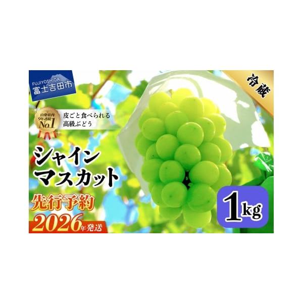 容量山梨県産 シャインマスカット 約1kg(2〜3房)※2026年9月上旬から10月中旬頃のお届けとなります。※日時指定は出来かねておりますのでご注意ください。※沖縄および離島へのお届けはできません。発送期日2026年9月上旬から10月中旬...