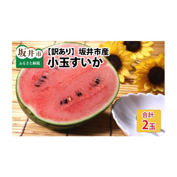 容量小玉スイカ 1.7〜2.5kg × 2玉※ 2玉入りでサイズがそれぞれ違う場合があります。ご了承ください。※ 訳ありの為、贈答用の発送はしておりません。※ 味は通常品と相違ございません。消費期限到着日より常温で7日以内発送期日2026年...