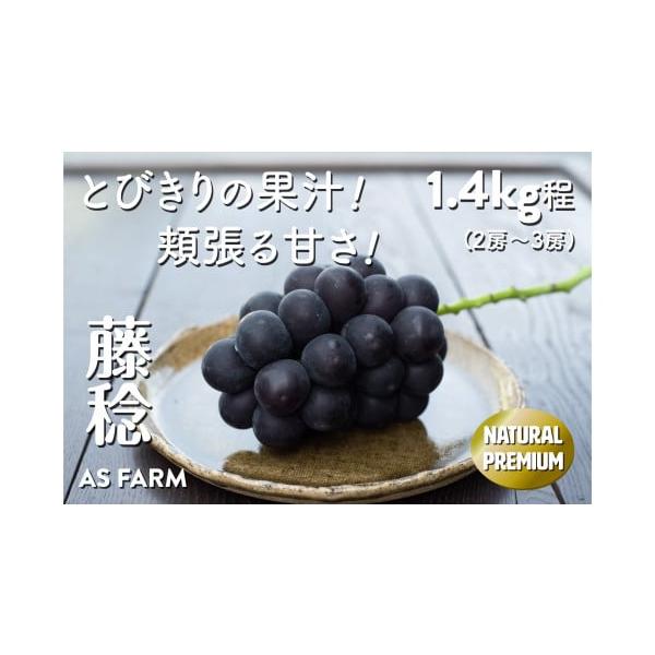 容量甲州市産藤稔 約1.4kg（2〜3房）消費期限到着次第、お早めにお召し上がりください。発送期日2026年8月下旬頃より、順次発送予定※天候や収穫状況により出荷に変動がございます。（※沖縄・離島へのお届けはできかねております）配送冷蔵 時...
