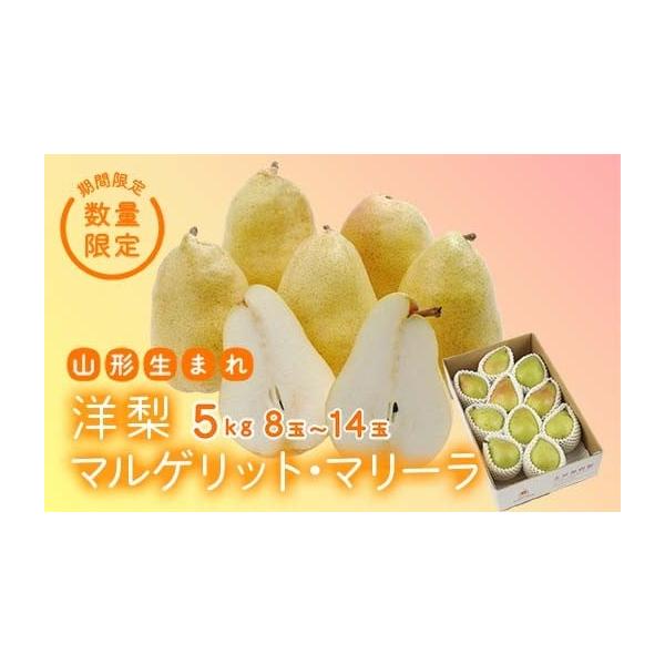 容量5kg（8〜14玉）発送期日2026年9月中旬頃〜10月上旬頃配送常温 時間指定 別送申込期日2026年8月30日まで事業者株式会社やまがたさくらんぼファーム申込条件何度も申し込み可、オンライン決済限定