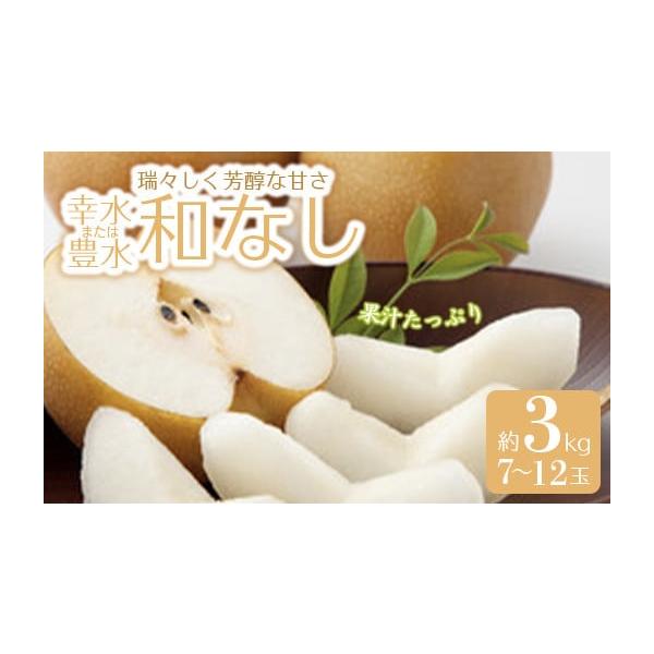 容量和なし（幸水または豊水）　3kg 7~12玉消費期限約4日発送期日2026年9月上旬頃〜9月下旬頃まで配送冷蔵 時間指定 別送申込期日2026年9月15日まで事業者株式会社エナジーファーム申込条件何度も申し込み可、オンライン決済限定