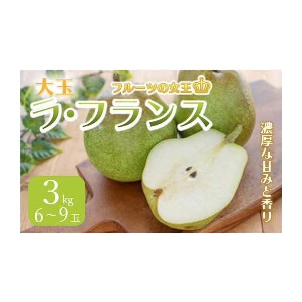 容量大玉ラ・フランス 3kg 6~9玉消費期限5~10日発送期日2026年10月下旬頃〜11月中旬頃配送常温 時間指定 別送申込期日2026年10月30日まで事業者株式会社エナジーファーム申込条件何度も申し込み可、オンライン決済限定