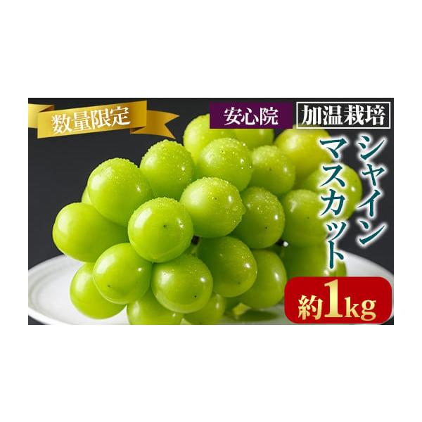 容量シャインマスカット 1kg消費期限生鮮品のためお早目にお召し上がりください。発送期日2026年8月上旬より順次発送配送冷蔵 時間指定 別送申込期日〜 2026／07／31 23:59事業者大分県農業協同組合北部事業部安心院購買センター申...