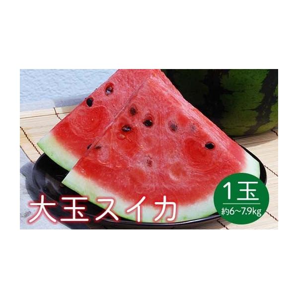 容量大玉スイカ1玉[L〜2Lサイズ／約6〜7.9kg]発送期日2026年7月下旬頃〜8月中旬頃配送常温 別送申込期日2026年7月20日まで事業者山形うまいずマーケット申込条件何度も申し込み可、オンライン決済限定