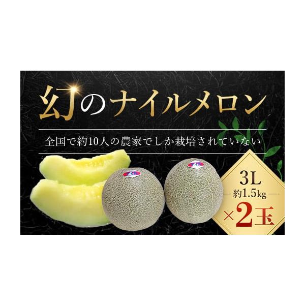容量ナイルメロン　1箱2玉入り（3L（約1.5kg）×2玉）消費期限賞味期限：発送より10日程度（食べ頃シートを同梱いたします。）発送期日発送期間：6月中旬〜7月上旬※生育状況で発送時期が前後する可能性がございます※【配送不可地域】離島（沖...