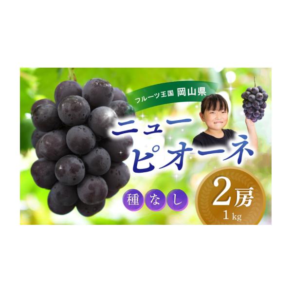 容量真庭市産  ニューピオーネ500〜700g×2房原産地:いずれも岡山県真庭市※画像はイメージです。消費期限到着後は、冷蔵庫で保管し、お早めにお召し上がりください。小さなお子様には、食べやすいようにカットしてあげることをお勧めします。発送...