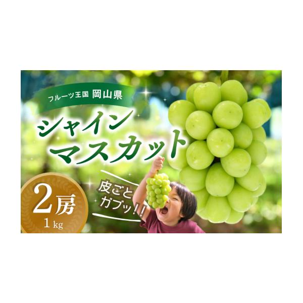 容量真庭市産  シャインマスカット500〜650g×2房（1kg以上）原産地:いずれも岡山県真庭市※画像はイメージです。消費期限到着後は、冷蔵庫で保管し、お早めにお召し上がりください。小さなお子様には、食べやすいようにカットをお勧めします。...