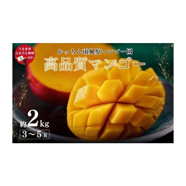 容量・アップルマンゴー（アーウィン種）秀品　約2kg（3〜5玉／1.8〜2kg）消費期限生ものですので到着後はお早めにお召し上がりください。発送期日準備でき次第、順次発送致します。※お届けまで1ヶ月程度お時間をいただく場合がございます。配送...