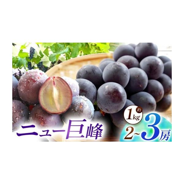 容量1kg（2〜3房程度）消費期限3〜5日程度※返礼品到着後は、お早めにお召し上がりください。※返礼品到着後は、できるだけ早く冷蔵庫に保存してください。※冷凍保存される場合は、冷凍やけを避けるため新聞紙に包み冷凍庫に入れてください。発送期日...