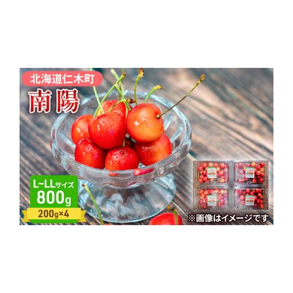 容量さくらんぼ【南陽】800g（200g×4）サイズ：L-LL混合 産地：北海道仁木町※賞味期間：発送から3日程度（冷蔵）※ふるさと納税返礼品地場産品基準(平成31年総務省告示第179号第5条)のうち該当する類型について仁木町内において生産...
