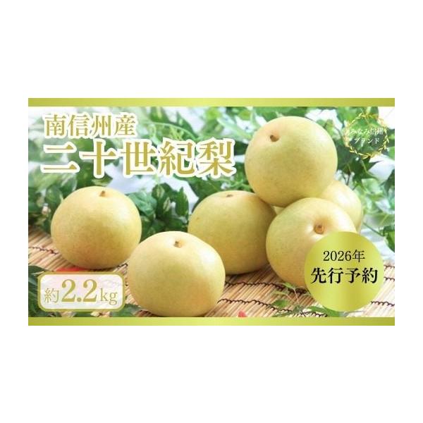 容量【先行予約】2026年発送約2.2kg（7玉）消費期限発送日より7日以内を目安に、なるべくお早めにお召し上がりください。発送期日2026年9月上旬〜9月下旬頃（予定）※その年の気候により発送時期に変動がございます。ご了承ください。※発送...