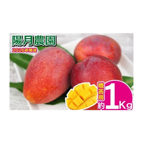 容量贈答用アップルマンゴー(アーウィン種)約1kg　化粧箱　2〜3玉（玉数の指定は出来ません）消費期限青果物なので到着後はお早めにお召し上がり下さい。発送期日2026年7月中旬〜8月下旬予定配送冷蔵 別送申込期日2026年7月31日まで事業...