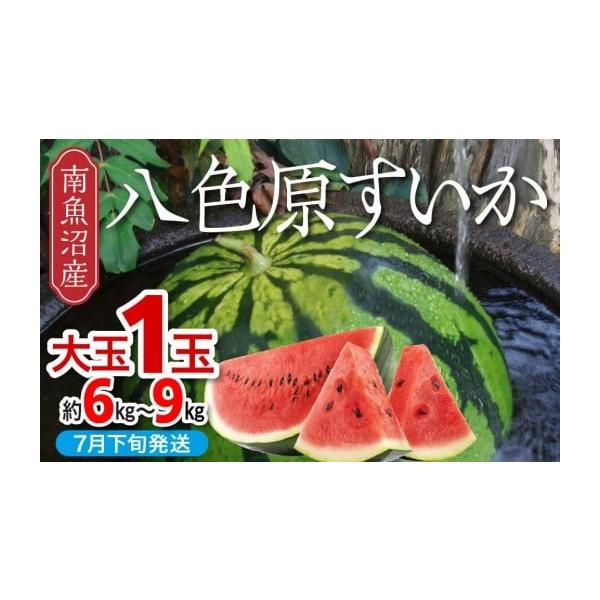 容量１玉（１玉：約６ｋｇ〜９ｋｇ）※１玉は重さの選定しております。消費期限５日〜７日　※お早めにお召し上がりください。発送期日2026年7月20日〜2026年8月20日の期間に受付順に順次発送予定。※発送時期は予定になります。収穫の状況によ...