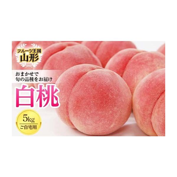 容量山形県産白桃〇秀又は秀5kg(10〜25玉程度)ご自宅用発送期日2026年7月中旬頃〜10月中旬頃配送冷蔵 時間指定 別送申込期日2026年7月31日まで事業者佐竹物産株式会社申込条件何度も申し込み可、オンライン決済限定