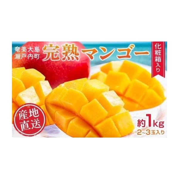 容量化粧箱1箱（約1kg　2〜3玉入り）消費期限発送より冷蔵で約1週間発送期日2026年7月下旬から8月中旬頃順次配送予定（青果物の為、その年の収穫時期が多少ずれることがあります。）配送冷蔵 時間指定 別送申込期日2026年1月4日までの受...