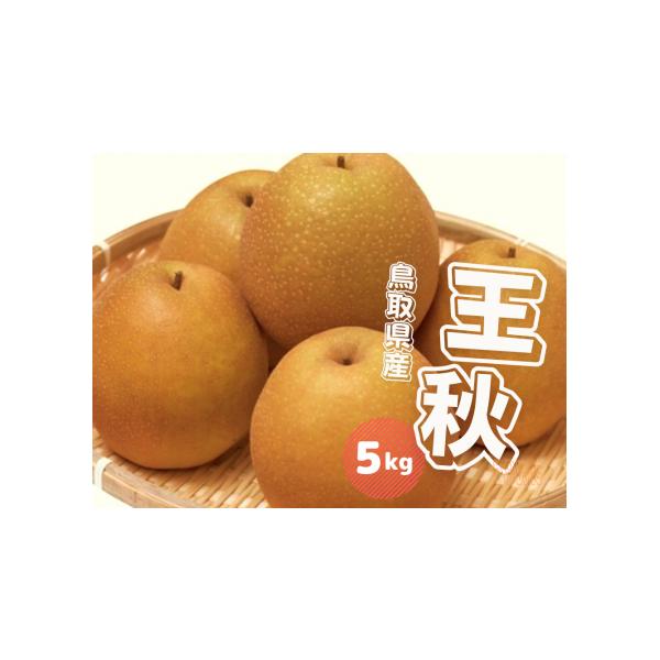 容量5キロ消費期限常温７日前後発送期日10月中旬〜10月下旬頃発送配送常温 時間指定 別送申込期日9月末まで（数量限定・予定数に達し次第受付終了）事業者JA鳥取西部 米子・あいみ果実部 米子選果場申込条件何度も申し込み可、オンライン決済限定