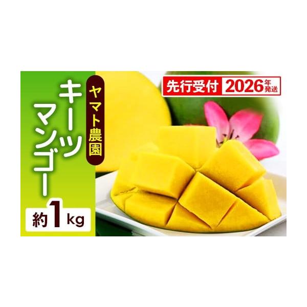 容量キーツマンゴー約1kg（1〜2玉）※玉数の指定はできません※数に限りがございます。申込数が予定数に達し次第締め切らせて頂きます。消費期限到着後はなるべくお早めに召し上がりください。発送期日2026年8月中を予定配送冷蔵 別送申込期日20...