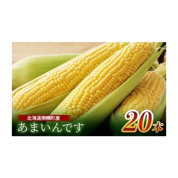 容量あまいんです 20本※到着しましたら検品をお願いいたします。傷んでいるものがありましたら、お手数ですが処分する前に写真撮影をお願いいたします。※選別をして送っておりますが、皮の外側からはわからない実の不ぞろいや、先端の生育不良などが稀に...