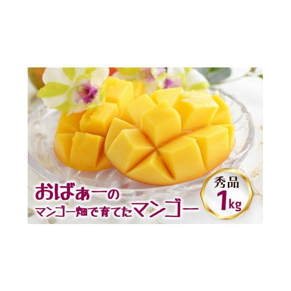 容量マンゴー　1kg（2玉〜5玉）秀品 ※玉数の指定はできません。消費期限青果物ですので早めにお召し上がり下さい。発送期日2026年6月下旬〜8月上旬頃予定配送冷蔵 別送事業者おばぁのマンゴー畑申込条件何度も申し込み可