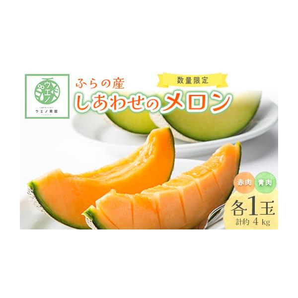 容量■お礼品の内容について・赤肉メロン[1玉(約2kg)]　　原産地:北海道富良野市　　消費期限:出荷日+16日・青肉メロン[1玉(約2kg)]　　原産地:北海道富良野市　　消費期限:出荷日+7日発送期日2026-06-28〜2026-08...