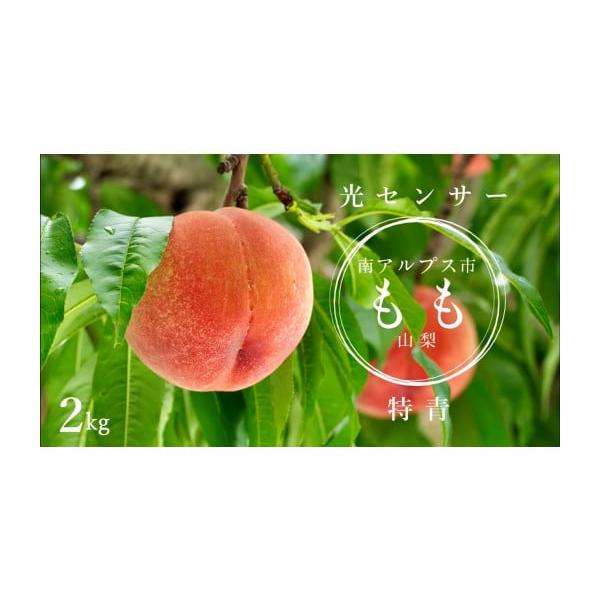 容量光センサー桃「特青」 2ｋg 6〜8玉入り【提供】JA南アルプス市消費期限出荷日から4日発送期日2026年6月下旬〜7月下旬　順次発送！！必ずお読みください！！★以下の注意事項を必ずお読みいただき、その旨ご理解、ご了承の上でお申込いただ...
