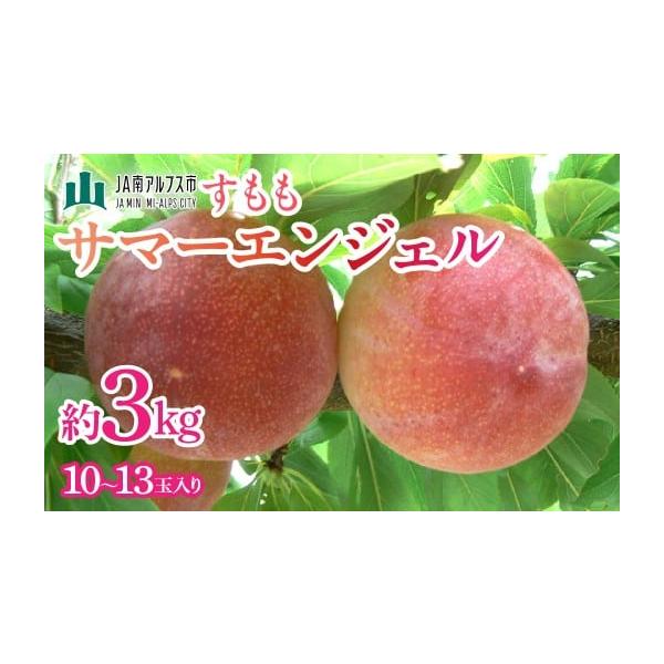 容量すもも「サマーエンジェル」10〜13玉入り×2箱　約3kg【提供】JA南アルプス市消費期限出荷日から4日発送期日2026年7月上旬から7月中旬発送予定＜配送について＞・返礼品は配送元事業者の「JA南アルプス市」から直接配送させていただき...