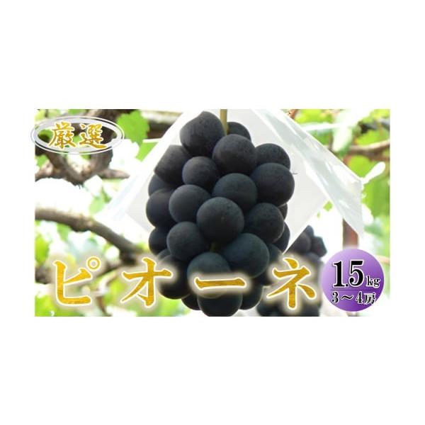 容量ぶどう「ピオーネ」3〜4房入り約1.5kg 【提供】JA南アルプス市消費期限出荷日から4日発送期日2026年8月上旬から8月下旬配送予定！！必ずお読みください！！★以下の注意事項を必ずお読みいただき、その旨ご理解、ご了承の上でお申込いた...