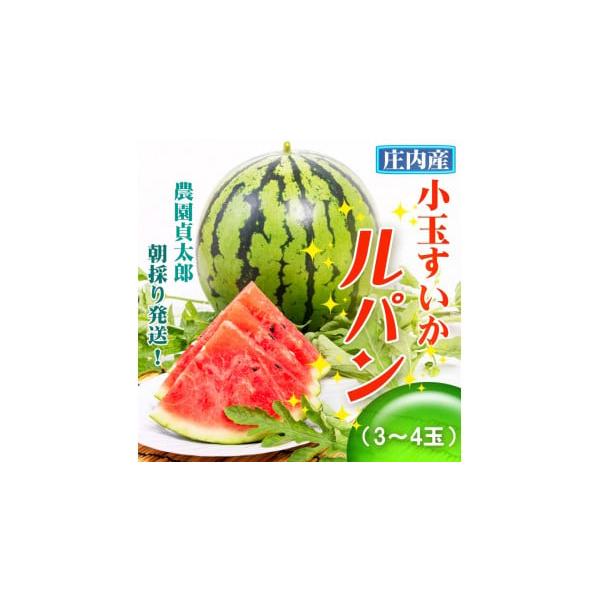 容量小玉スイカ（3〜4玉）発送期日2026年7月下旬より順次発送※天候により出荷時期が前後する場合もあります。配送常温 時間指定 別送申込期日入金期限：2026年7月10日申込条件何度も申し込み可