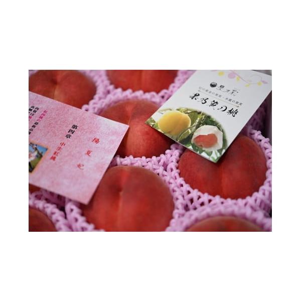 容量3kg(秀8玉〜13玉)消費期限1週間程度発送期日2026年8月中旬頃※着日指定はできかねます。＊生育状況により前後する場合がございます。配送冷蔵 のし 時間指定 別送申込期日2026年7月31日まで事業者フルーツ果乃蔵申込条件何度も申...